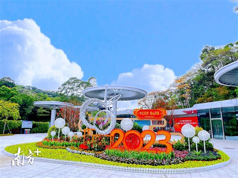 10万株郁金香如约而至白云山，助老广“花”式过年游园活动游客市民