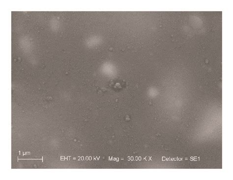 Scanning Electron Microscopy Sem Micrographs And Energy Dispersive