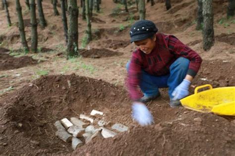 【走向乡村振兴】双龙镇高坡村： 林下种天麻 致富添新路澎湃号·媒体澎湃新闻 The Paper