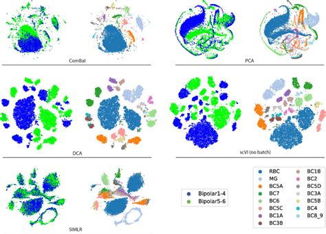 Batch Effect Removal On The Retina Dataset N 27499 Cells For Scvi