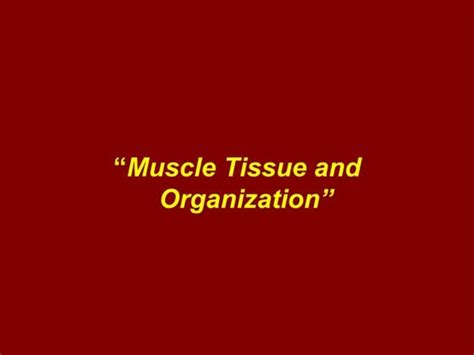 Muscle Structure And Function Ppt Biological Sciences Science