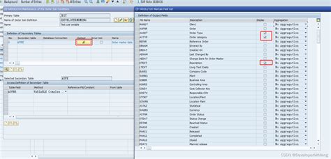 Sap Se16h的使用方式介绍 Csdn博客