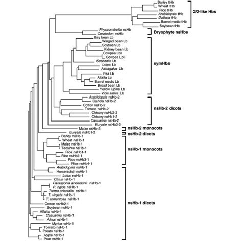 Cluster Phenetic Analysis Of Selected Plant Hemoglobins Hbs Hb Download Scientific Diagram
