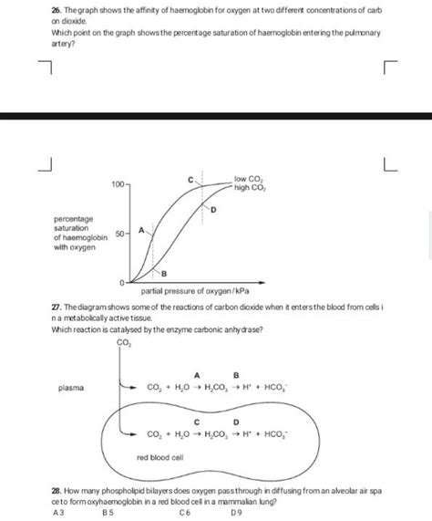 26 The Graph Shows The Affinity Of Haemoglobin For Oxygen At Two Differe