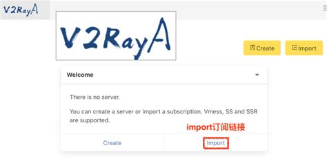 v2rayA docker 支持全局透明代理的V2Ray Linux客户端 1024 ee
