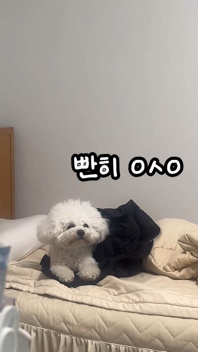 언니 머리 말리는 모습 구경중 Youtube