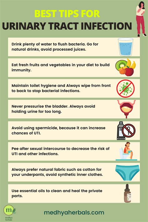 Urinary Tract Infection Uti Ayurvedic Treatment Diet Natural Remedies