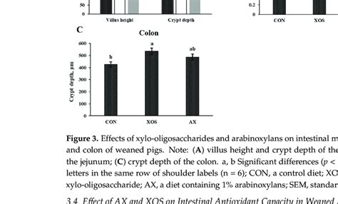 Effects Of Xylo Oligosaccharides And Arabinoxylans On Intestinal