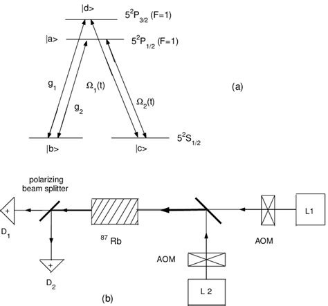Double Λ Type Four Level 87 Rb Atoms Coupled To Two Single Mode