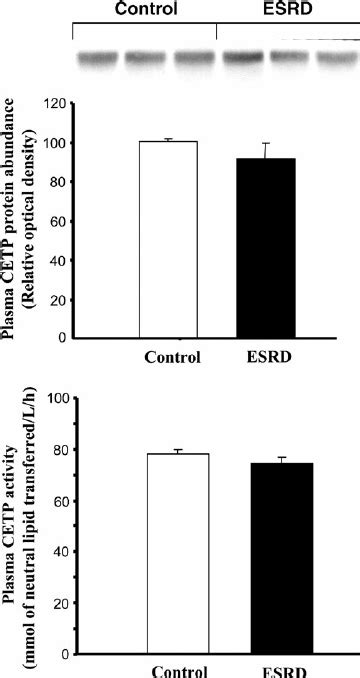Plasma Lcat Concentration In The Control Haemodialysis Dependent Esrd Download Scientific
