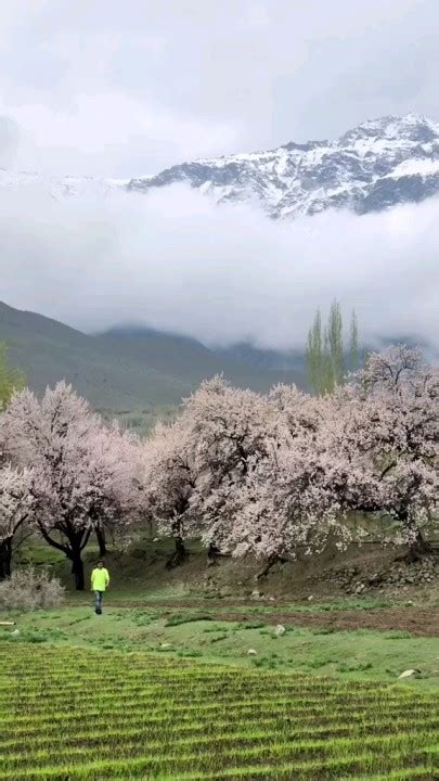 Usama Ahmed On Linkedin Skardu In Blossom Season From The Snow Capped