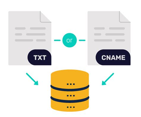 Free Dmarc Record Lookup Dmarc Checker Instant Dmarc Lookup