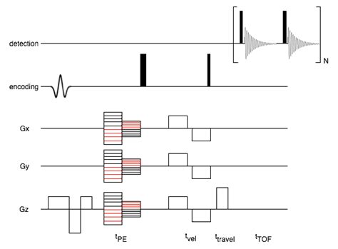 Remote Detection Pulse Sequence Rf Encoding And Detection Is Divided Download Scientific