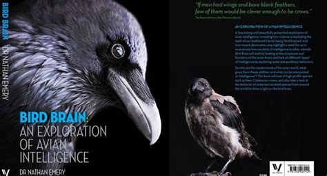 Nathan Emerys Book ‘bird Brain Shines New Light On Avian Intelligence