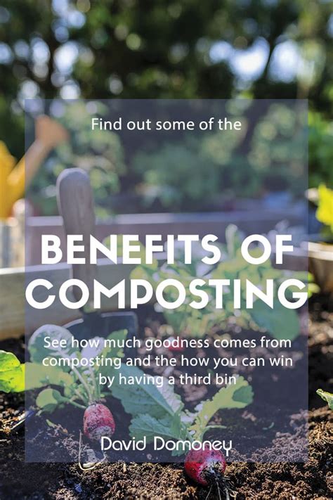Benefits Of Composting David Domoney