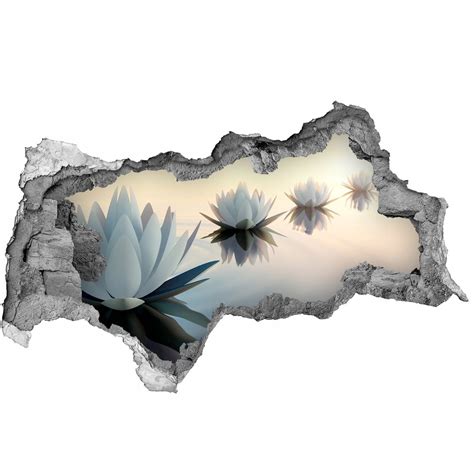 Dziura 3d okleina na ścianę Kwiaty lotosu 115x88 11324894836