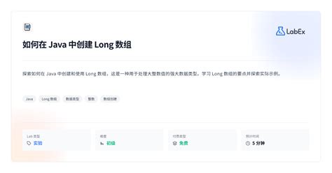 如何在 Java 中创建 Long 数组 Labex