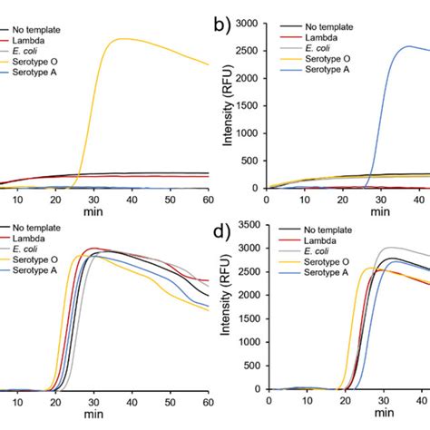 Specificity Of Loop Mediated Isothermal Amplification Lamp With