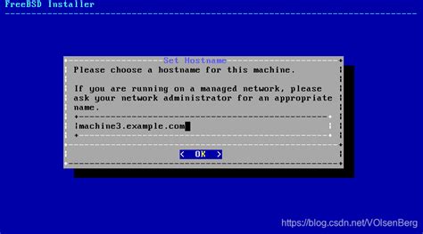 Windows10 和 Zfs 文件系统 Freebsd Uefi 引导 双系统安装windows Zfs Csdn博客