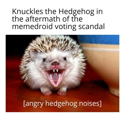Heckin Bamboozled Meme By Naptown Memedroid