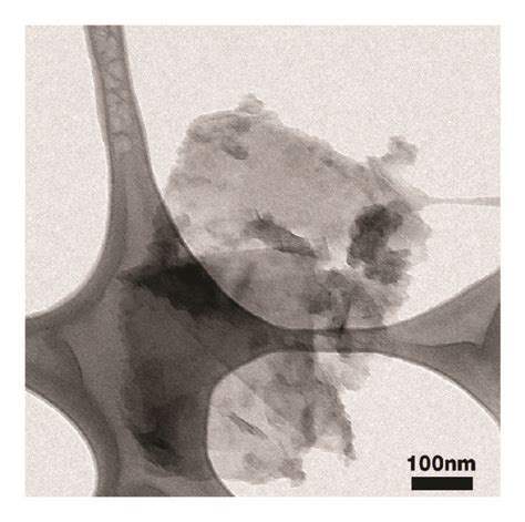 A Sem Image Of A Gnp Agglomerate B Higher Magnification Sem Image Download Scientific