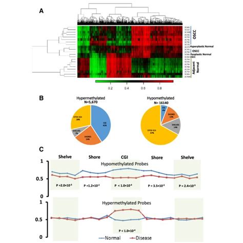 distribution of differentially methylated probes dmps a heatmap of