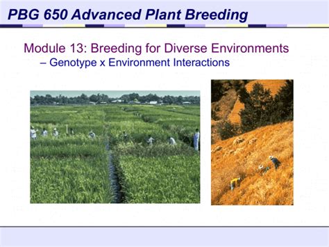 Breeding For Diverse Environments Gxe Interactions