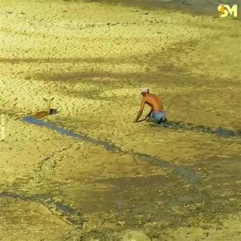 Muhammad Rizwan Khan Posted On Linkedin