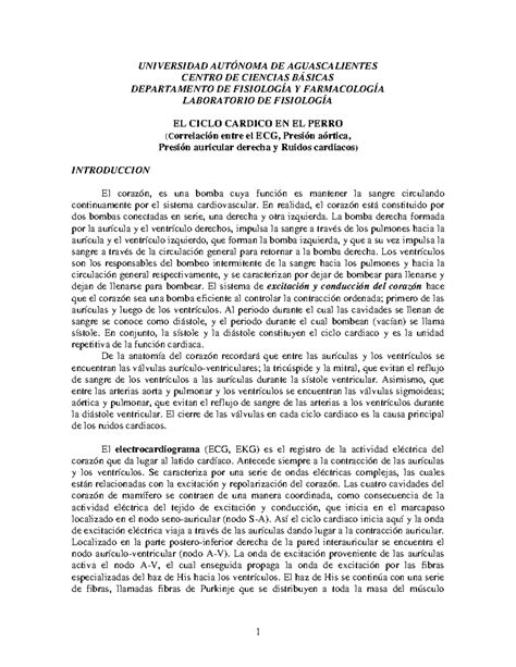 08 Ciclo Cardiaco En Perro Universidad AutÓnoma De Aguascalientes