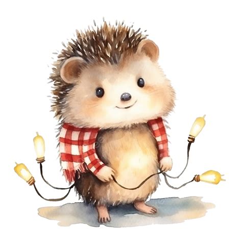 Cute Hedgehog With Christmas Light Decoration Watercolor Christmas