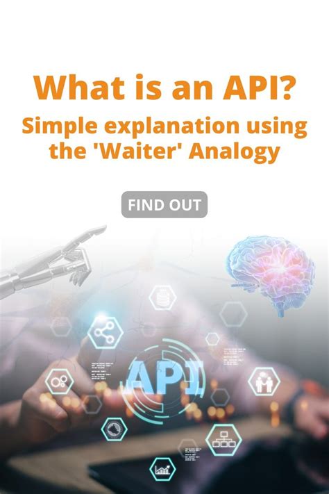 Api For Beginners Here S A Simple ‘waiter Analogy To Understand Clearly Learn A New Language