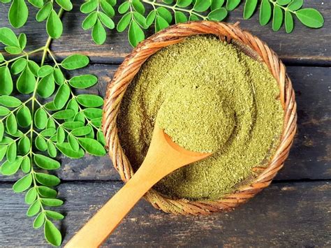 Qué Es La Moringa Para Qué Sirve Y Cómo Debe Consumirse Infobae