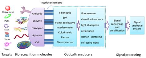 Sensors Free Full Text Recent Advances In Optical Biosensors For