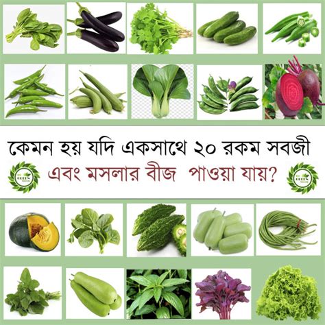 20 Type Vegetable And Spicy Seed Fulkopi Chilli Borboti Lalshak