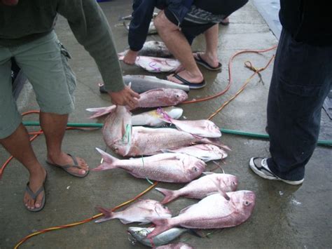 Nebraska Catch Fishing Fishing Wa Fishing