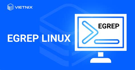 Lệnh Egrep Linux Là Gì Cách Sử Dụng Lệnh Egrep Linux 2025