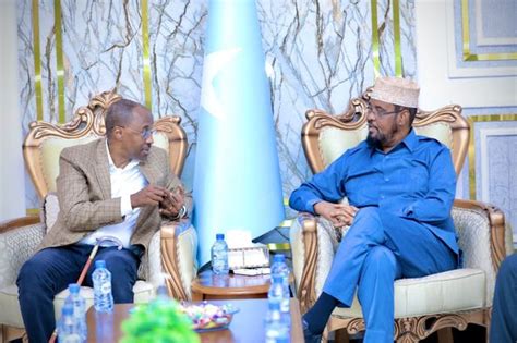 Ergayga Gaarka Ah Ee Madaxweynaha JFS U Qaabilsan Arrimaha Somaliland Oo Kulamo Wadatashi Ah La