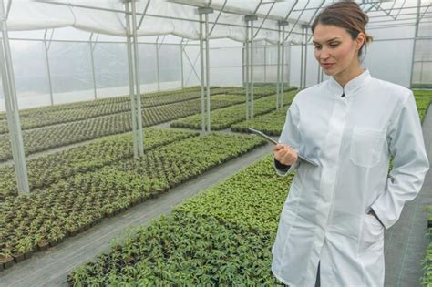 Premium Photo Greenhouse Seedlings Growth Female Agricultural