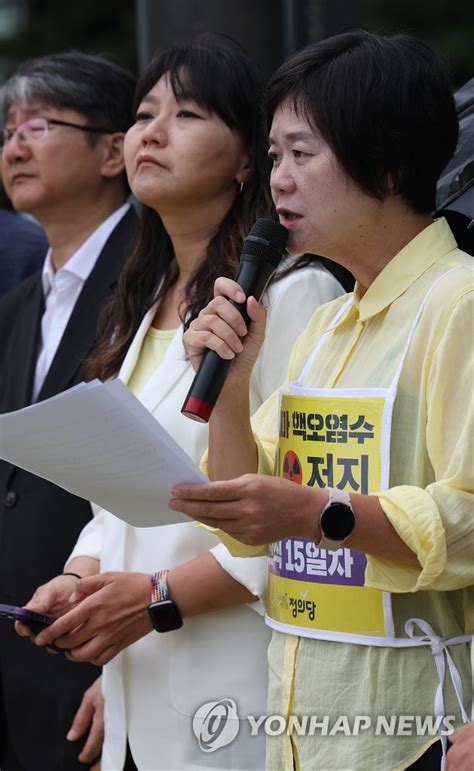 발언하는 이정미 대표 연합뉴스
