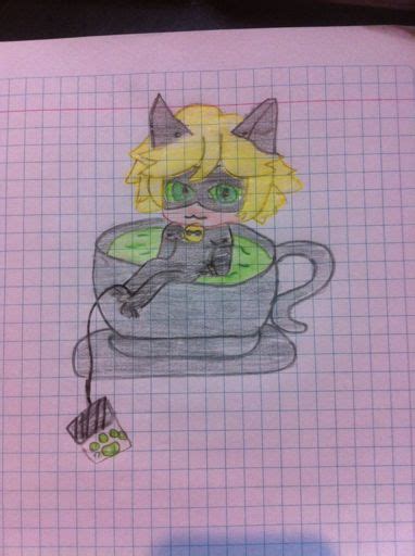 Dibujo De Cat Noir Esta En Una Taza De Te 😅 Miraculous Amino