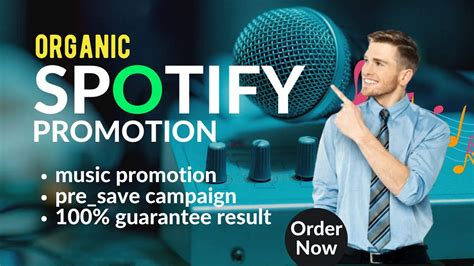 I Will Do German Dutch Spotify Music Promotion Spotify Ads To Boost