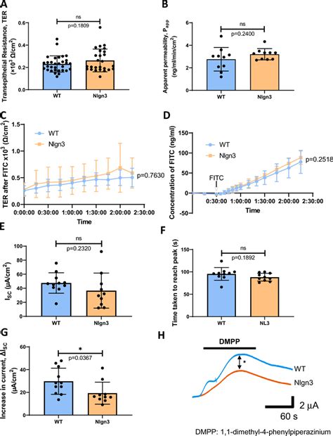 Transepithelial Resistance Ter And Paracellular Permeability Of Wt