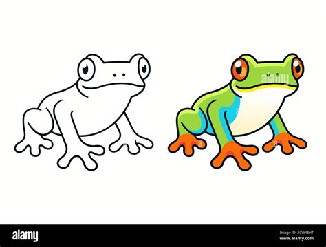 Red Eyed Tree Frog Cute Cartoon Illustration Of Central American