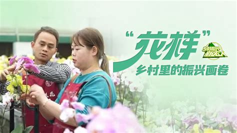 广西卫视广西网络广播电视台