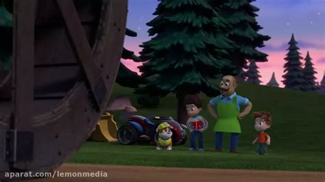 کارتون سگهای نگهبان اورست جعبه