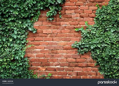 دیوار آجری بافت قدیمی پس زمینه الگوی مفصل درخت آجری 1423124