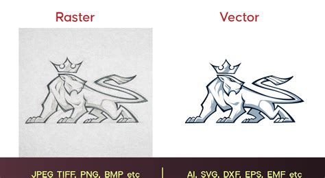 Tracing Process For Image To Vector Conversion