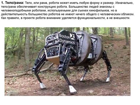 Робототехника Возможности применения и примеры роботов презентация