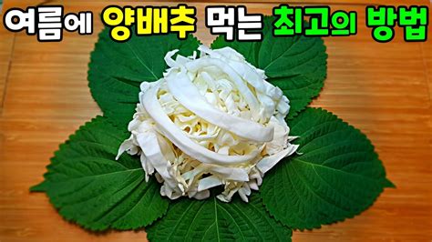 이제 이거 없으면 밥을 안 먹어요 요즘 온 가족이 푹 빠져있는 양배추 요리 Youtube