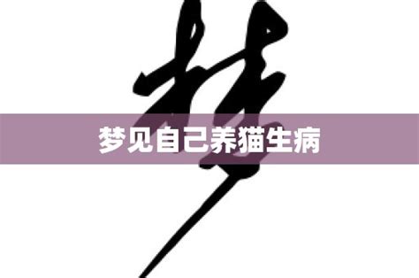 梦见自己养猫生病 命理解梦